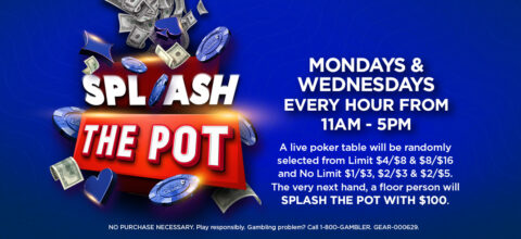 Splash The Pot - HUSTLER Casino